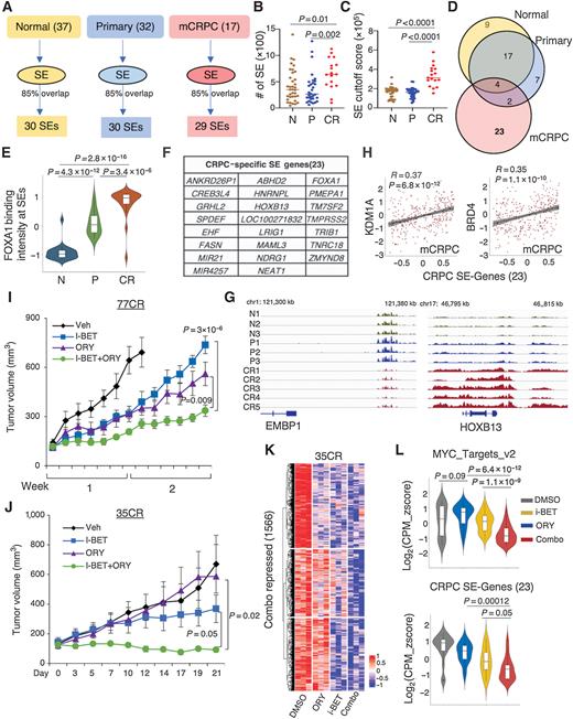 LSD1 Inhibition Disrupts Super-Enhancer–Driven Oncogenic ...