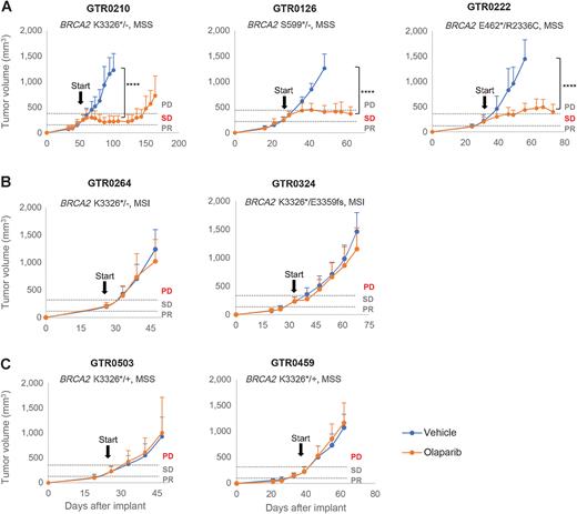 BRCA2 Germline Mutations Identify Gastric Cancers Responsive to PARP ...
