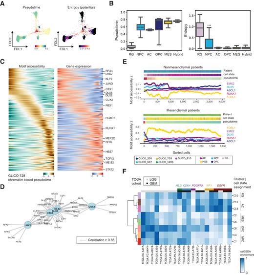 Microenvironment-Driven Dynamic Chromatin Changes in Glioblastoma ...
