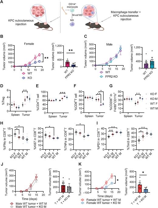 FPR2 Shapes an Immune-Excluded Pancreatic Tumor Microenvironment and ...