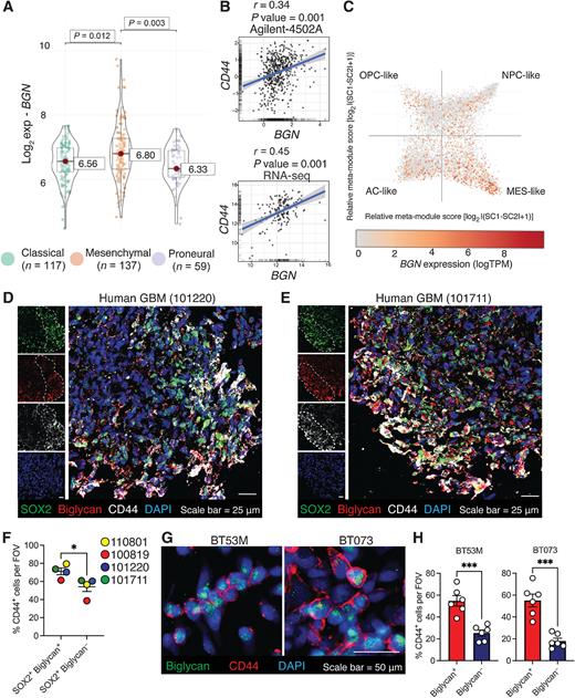 Single-Cell Spatial Analysis Identifies Regulators of Brain Tumor ...