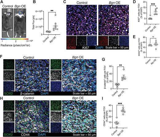 Single-Cell Spatial Analysis Identifies Regulators of Brain Tumor ...
