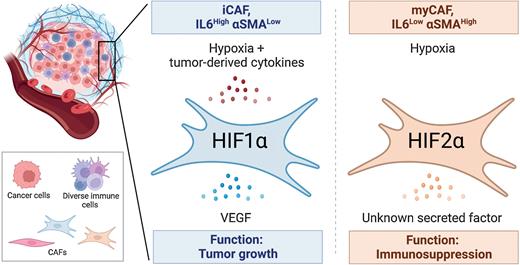 Turning Down Oxygen to Turn Up Inflammation in CAFs | Cancer Research ...