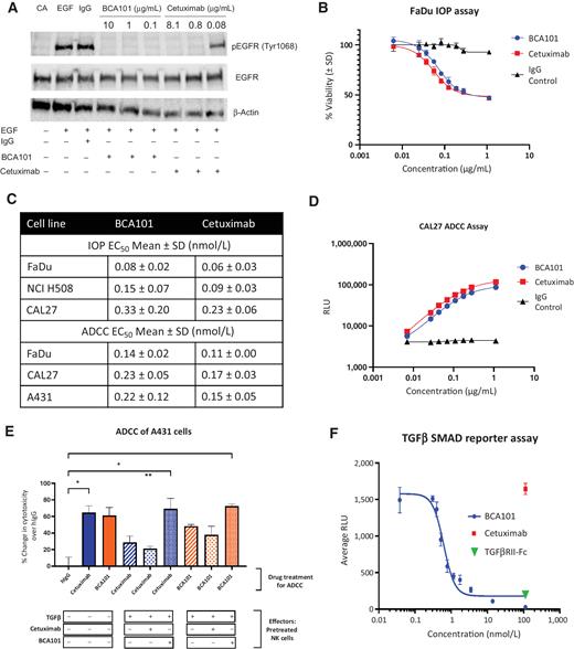 BCA101 Is a Tumor-Targeted Bifunctional Fusion Antibody That ...