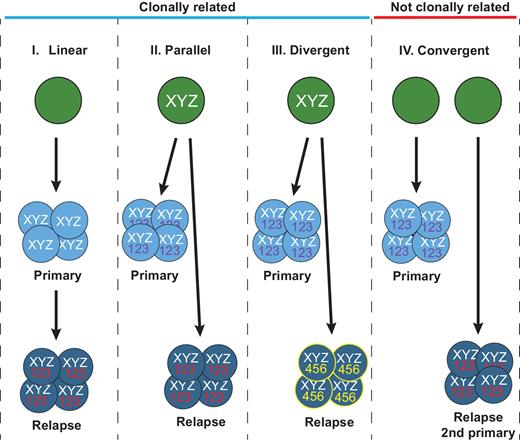 Large B-cell Lymphomas of Immune-Privileged Sites Relapse via Parallel ...