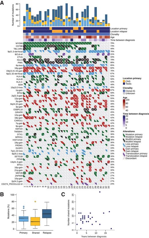 Large B-cell Lymphomas of Immune-Privileged Sites Relapse via Parallel ...