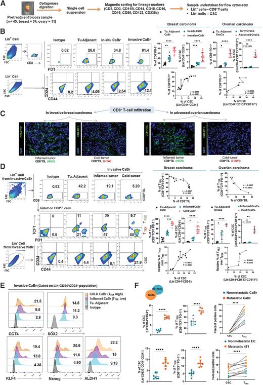 Terminally Exhausted CD8+ T Cells Resistant to PD-1 Blockade Promote ...