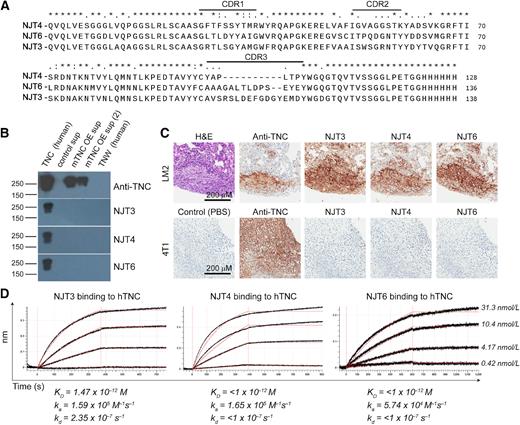 Proteomic Profiling of Extracellular Matrix Components from Patient ...