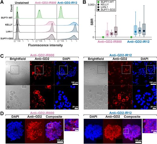 Shortwave Infrared Imaging Enables High-Contrast Fluorescence-Guided ...