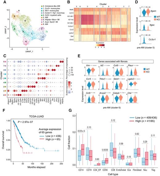 Ubiquitin Ligases Siah1a/2 Control Alveolar Macrophage Functions to ...