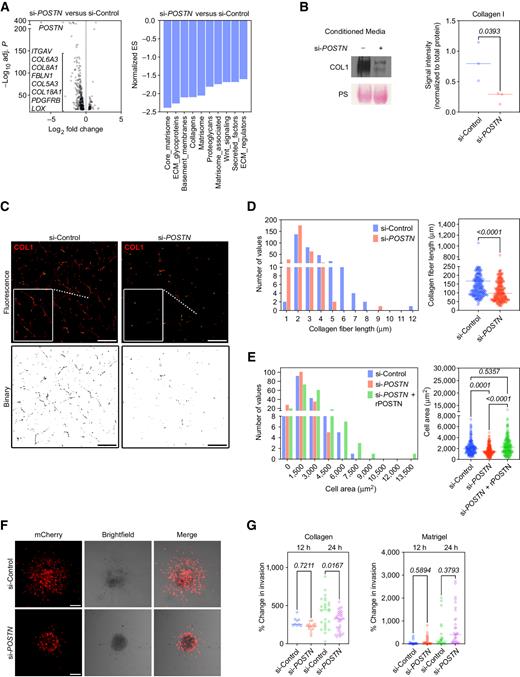 Periostin+ Stromal Cells Guide Lymphovascular Invasion by Cancer Cells ...