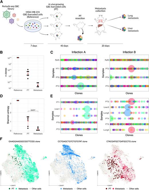 A Rare Subset of Primary Tumor Cells with Concomitant Hyperactivation ...