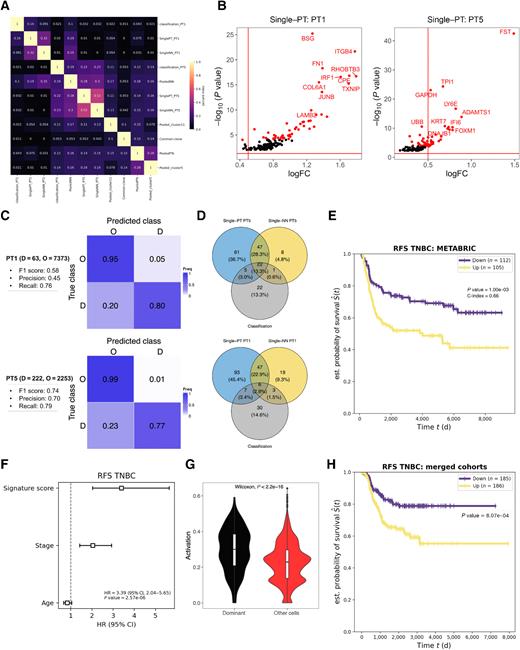 A Rare Subset of Primary Tumor Cells with Concomitant Hyperactivation ...