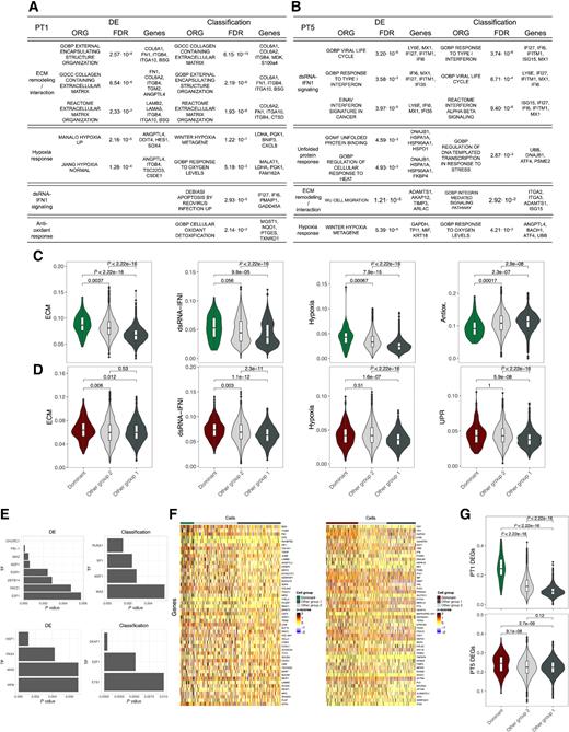 A Rare Subset of Primary Tumor Cells with Concomitant Hyperactivation ...