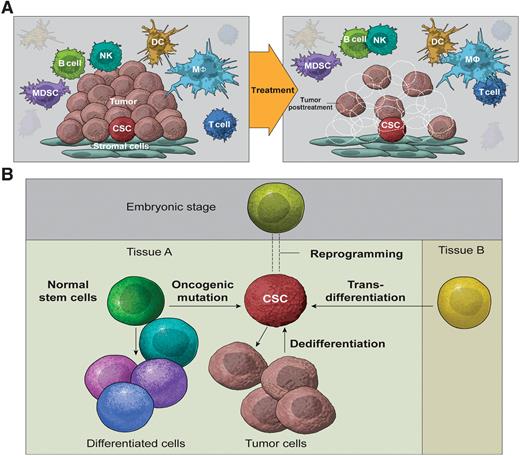 Understanding and Overcoming Immunosuppression Shaped by Cancer Stem ...