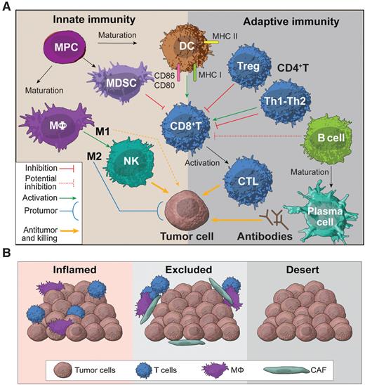 Understanding and Overcoming Immunosuppression Shaped by Cancer Stem ...