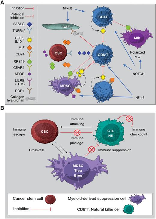 Understanding and Overcoming Immunosuppression Shaped by Cancer Stem ...