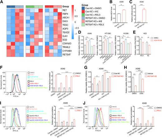 Retinol Saturase Mediates Retinoid Metabolism to Impair a Ferroptosis ...