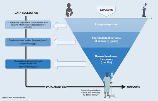 Immune Checkpoint Inhibitors and the Exposome: Host-Extrinsic Factors ...