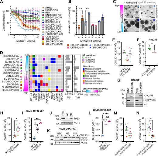 ONC201 in Combination with Paxalisib for the Treatment of H3K27-Altered ...