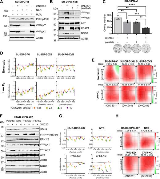 ONC201 in Combination with Paxalisib for the Treatment of H3K27-Altered ...