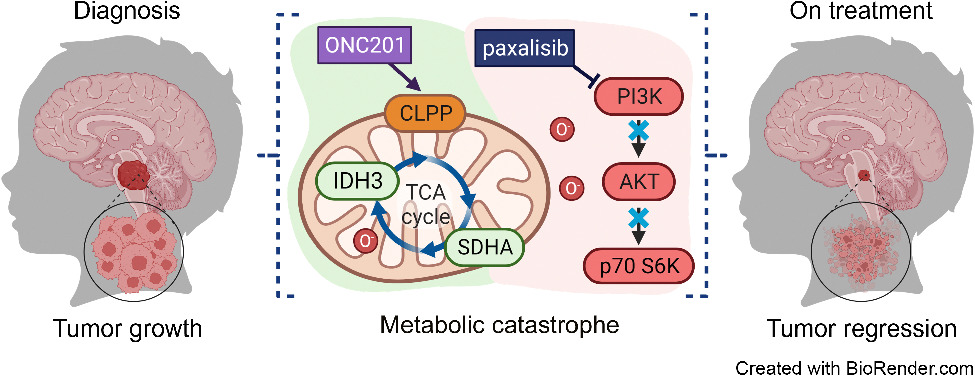 ONC201 in Combination with Paxalisib for the Treatment of H3K27-Altered ...