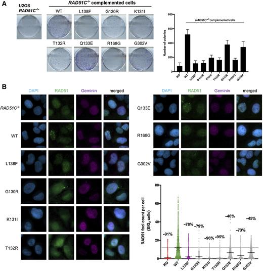 Functional and Clinical Characterization of Variants of Uncertain Significance Identifies a ...