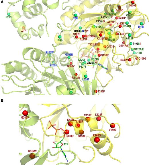 Functional and Clinical Characterization of Variants of Uncertain ...
