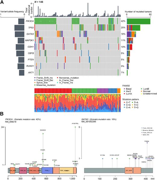 Profiling the Somatic Mutational Landscape of Breast Tumors from ...