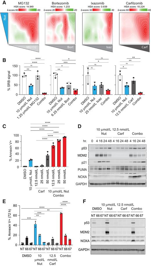Proteasome Inhibition Sensitizes Liposarcoma to MDM2 Inhibition with ...