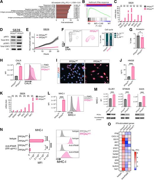 PP2Ac Deficiency Enhances Tumor Immunogenicity by Activating STING–Type ...