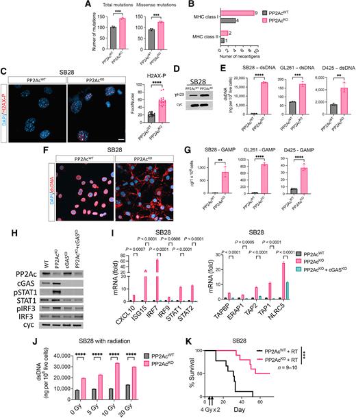 PP2Ac Deficiency Enhances Tumor Immunogenicity by Activating STING–Type ...