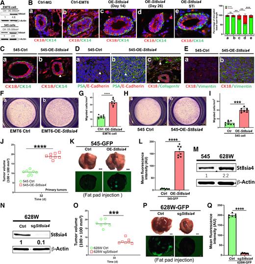 BRCA1 Insufficiency Induces a Hypersialylated Acidic Tumor ...