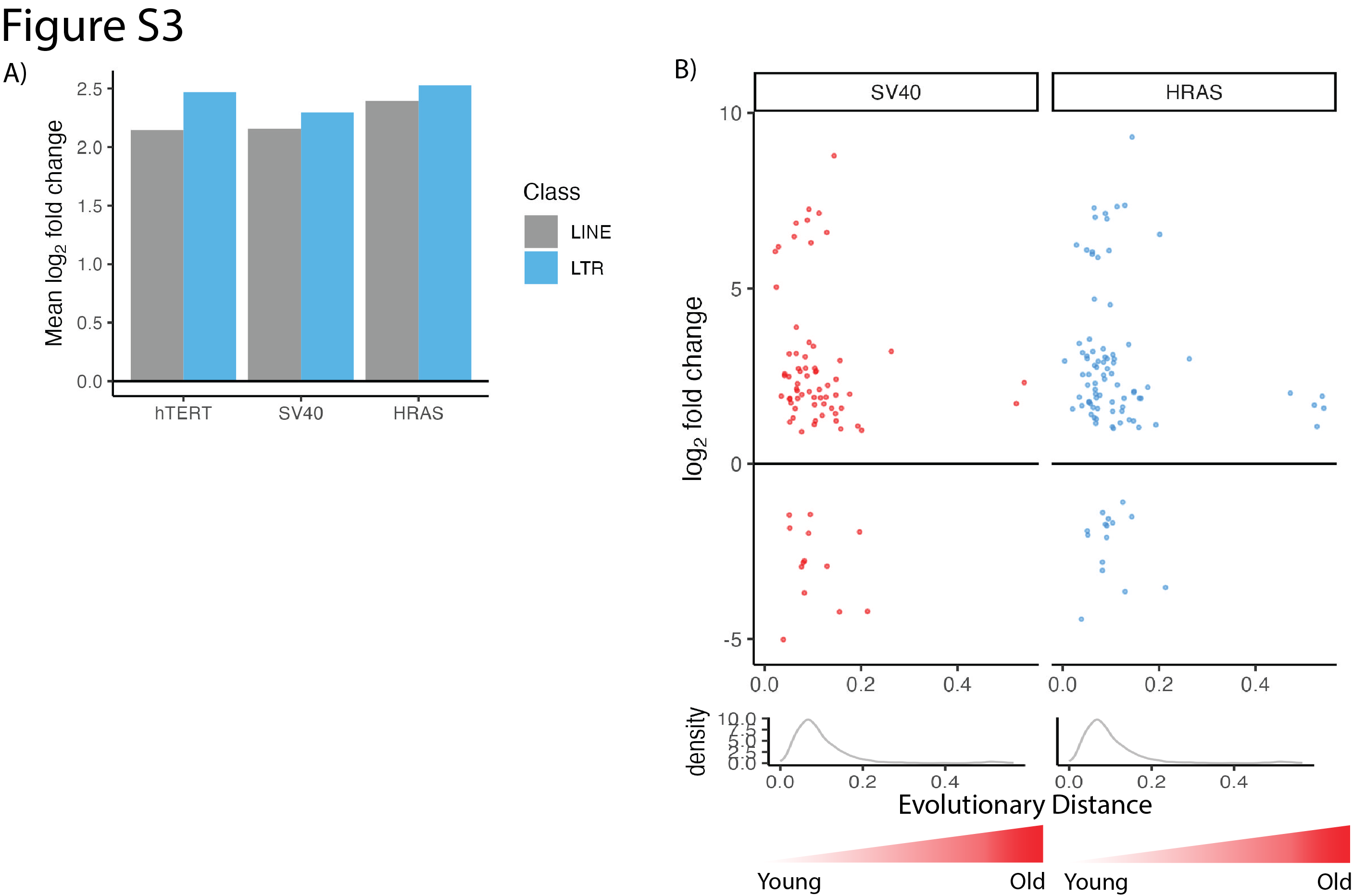 Oncogenic Transformation Drives DNA Methylation Loss and ...