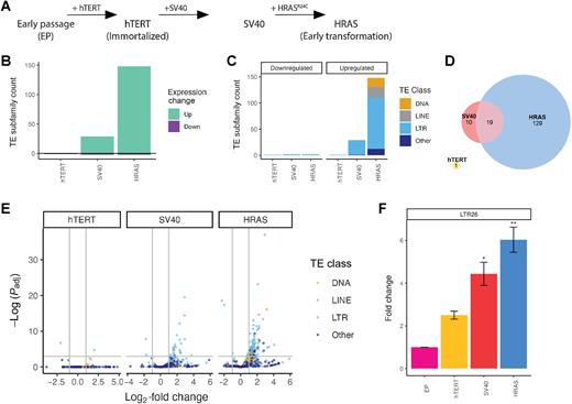 Oncogenic Transformation Drives DNA Methylation Loss and Transcriptional Activation at ...