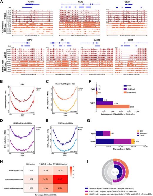 Deficiency of the Polycomb Protein RYBP and TET Methylcytosine Oxidases ...