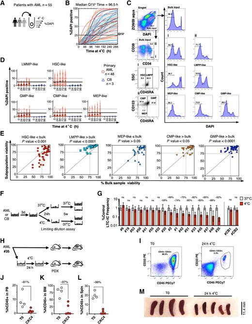 Oxidative Phosphorylation Fueled by Fatty Acid Oxidation Sensitizes ...