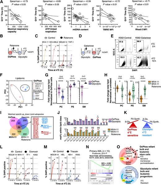 Oxidative Phosphorylation Fueled by Fatty Acid Oxidation Sensitizes ...