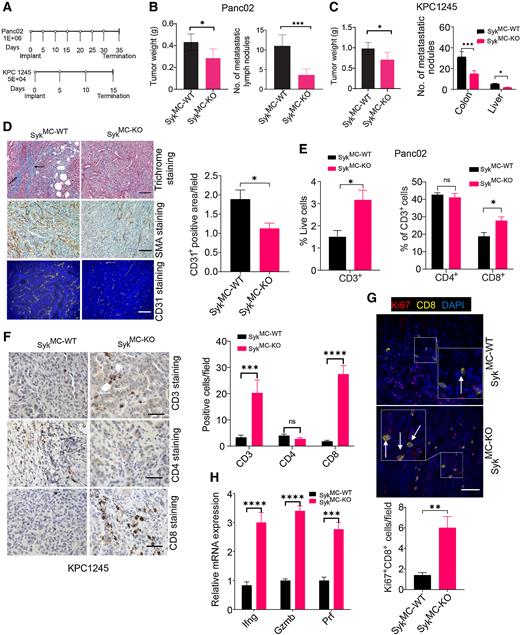 Syk Inhibition Reprograms Tumor-Associated Macrophages and Overcomes ...