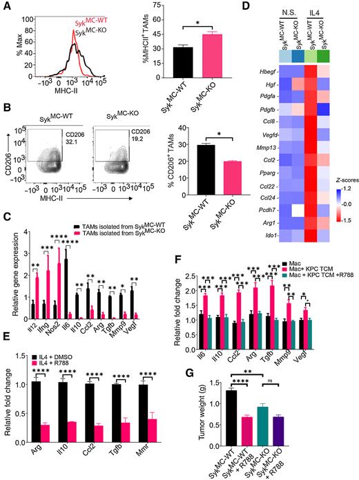 Syk Inhibition Reprograms Tumor-Associated Macrophages and Overcomes ...
