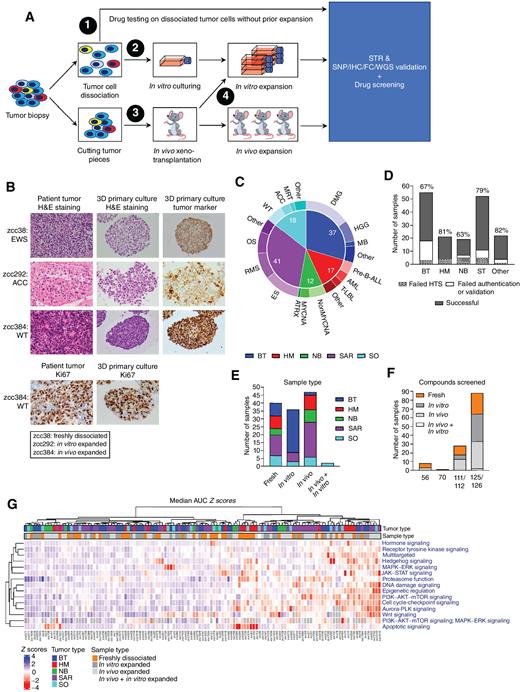 High-Throughput Drug Screening of Primary Tumor Cells Identifies ...