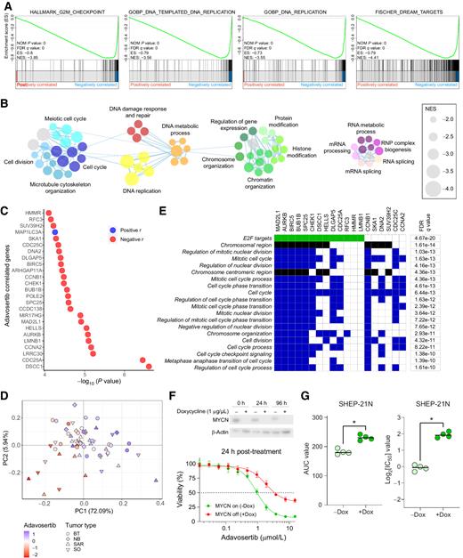 High-Throughput Drug Screening of Primary Tumor Cells Identifies ...