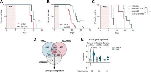 CD36 Drives Metastasis and Relapse in Acute Myeloid Leukemia | Cancer ...
