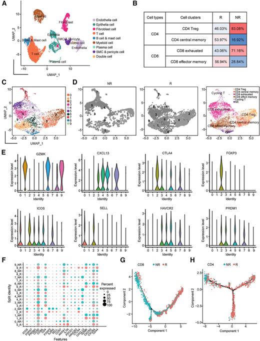 Intratumoral Microbiota Composition Regulates Chemoimmunotherapy ...
