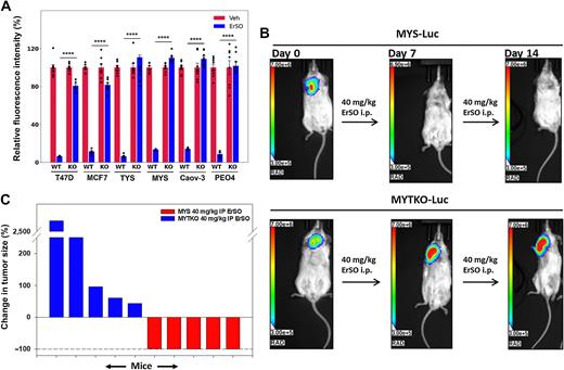 Plasma Membrane Channel TRPM4 Mediates Immunogenic Therapy–Induced ...