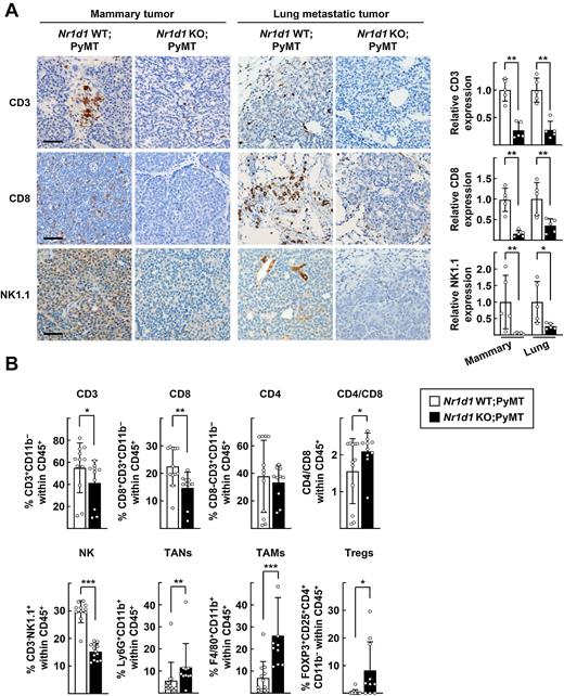 NR1D1 Stimulates Antitumor Immune Responses in Breast Cancer by ...