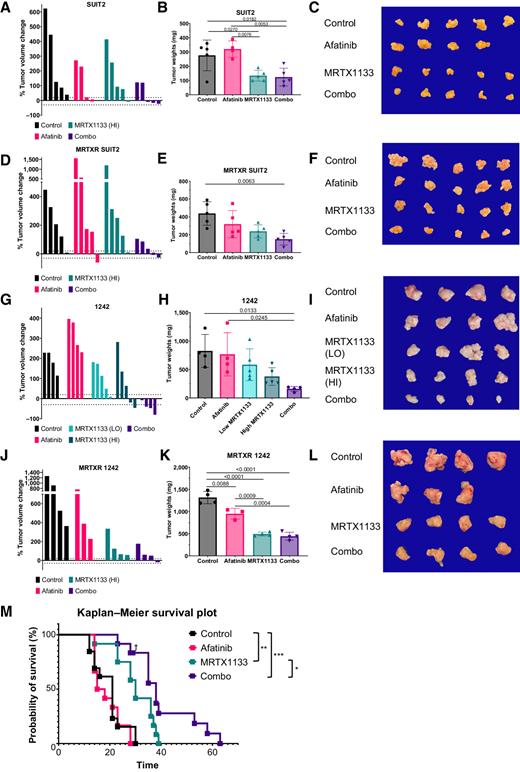 Dual Inhibition of KRASG12D and Pan-ERBB Is Synergistic in Pancreatic ...