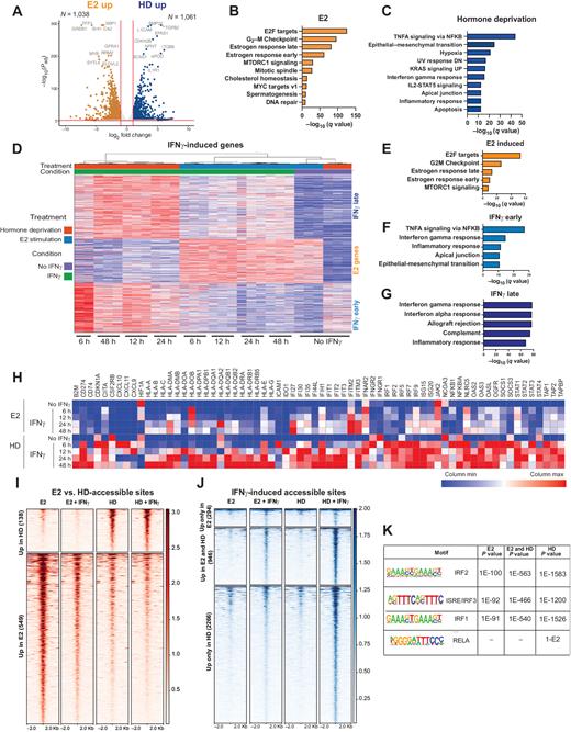 Endocrine Therapy Synergizes with SMAC Mimetics to Potentiate Antigen ...