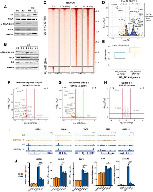 Endocrine Therapy Synergizes with SMAC Mimetics to Potentiate Antigen ...