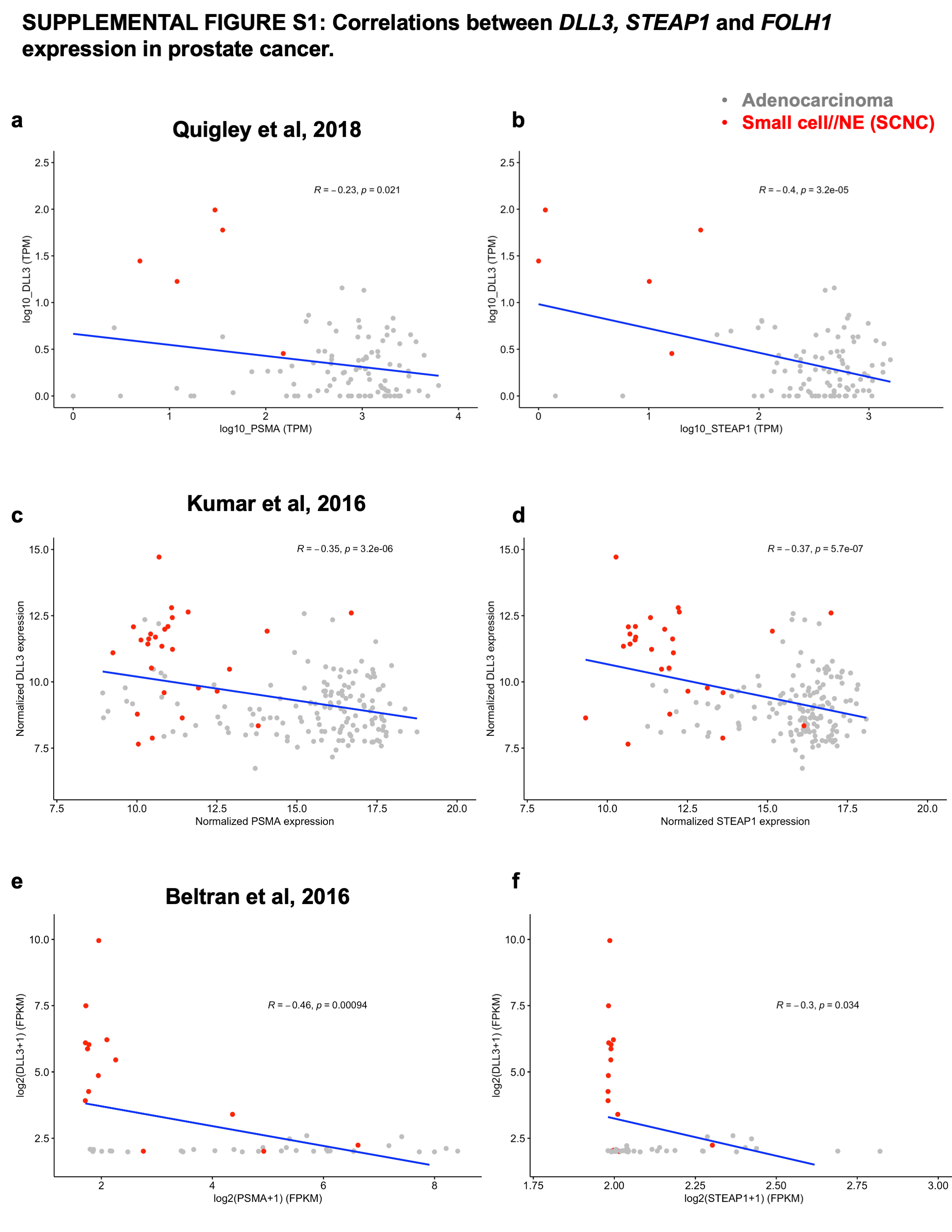 Immunotherapeutic Targeting and PET Imaging of DLL3 in Small-Cell ...